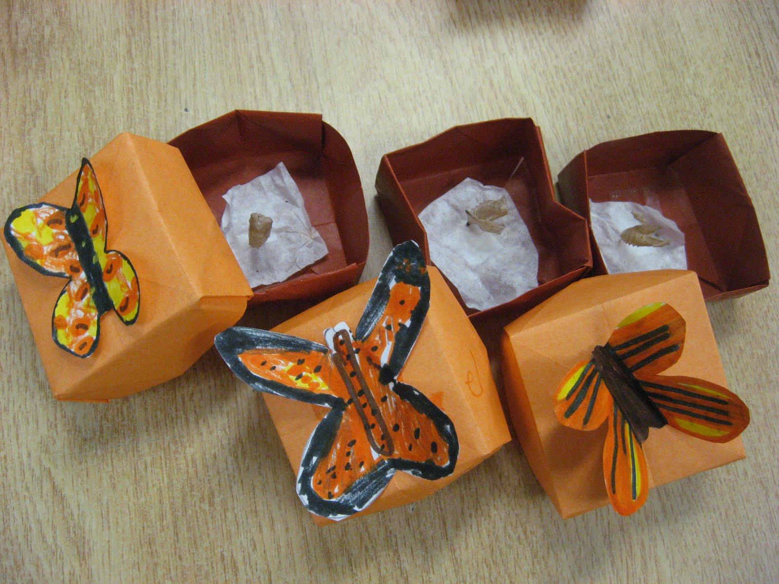 Planet 5 News: Making a chrysalis box